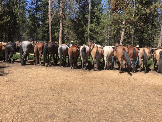 DRY RIDGE OUTFITTERS AT HARRIMAN STATE PARK - Updated December 2025 ...