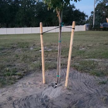 TRAVELING TREES GARDEN CENTER - Updated January 2026 - 45 Photos & 11 ...