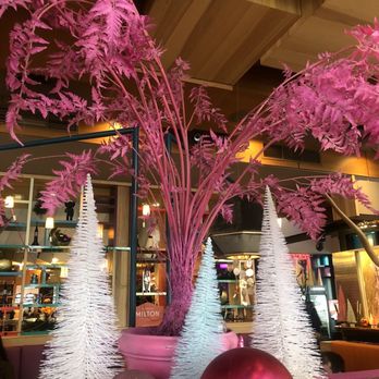 COSMOS CAFÉ - Updated January 2026 - 63 Photos & 39 Reviews - 2813 ...