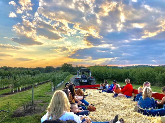 LINVILLA ORCHARDS - Updated March 2025 - 1123 Photos & 490 Reviews ...