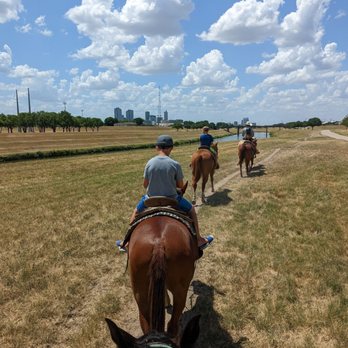 FORT WORTH STOCKYARDS STABLES - Updated May 2024 - 118 Photos & 36 ...