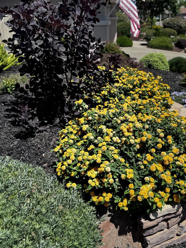 MASTER PAVERS AND LANDSCAPING - Updated August 2024 - 328 Photos & 67 ...