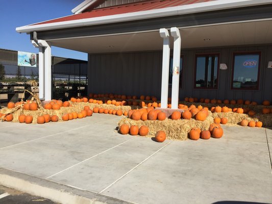 FRESNO STATE GIBSON FARM MARKET - 176 Photos & 76 Reviews - Farmers ...