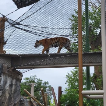 ABQ BIOPARK ZOO - Updated October 2025 - 896 Photos & 278 Reviews - 903 ...