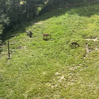 5506’ BAR - Updated December 2025 - 31 Photos & 24 Reviews - 1007 Beech ...