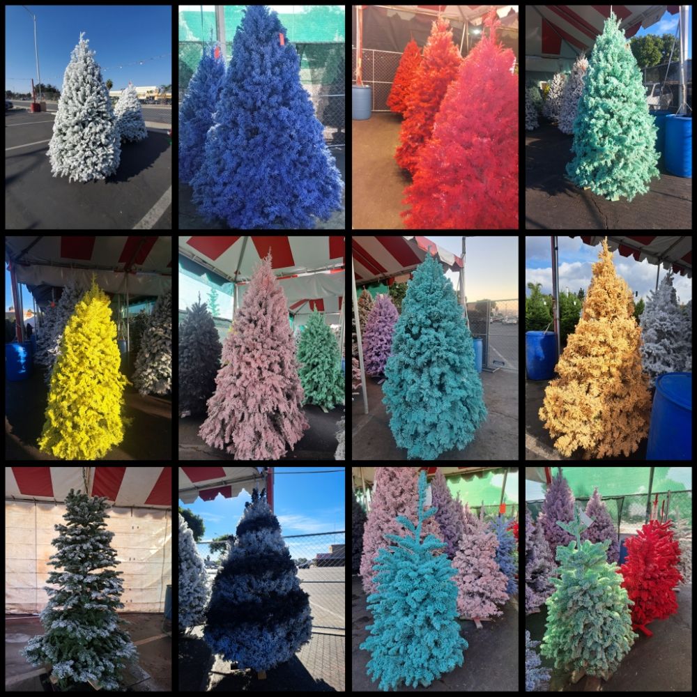 JR’S CHRISTMAS TREES - Updated November 2025 - 25 Photos - 1600 E Holt ...