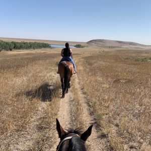 BEAR CREEK STABLES - 43 Photos & 33 Reviews - Horseback Riding - 15600 ...