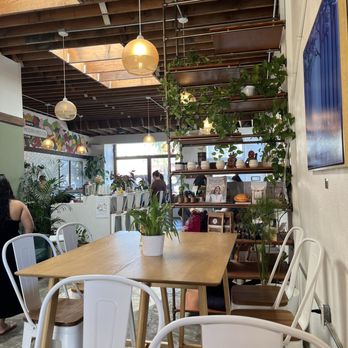 MAYA MOON COLLECTIVE - Updated January 2025 - 172 Photos & 135 Reviews ...