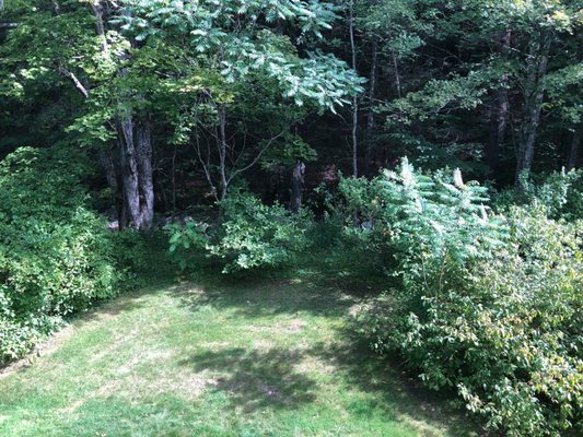 HOLIDAY INN CLUB VACATIONS OAK N SPRUCE RESORT - SOUTH LEE - 99 Photos ...