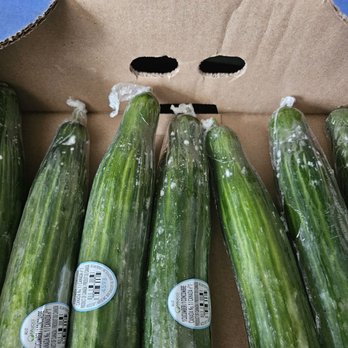 RIVER CITY PRODUCE - Updated December 2025 - 54 Photos & 22 Reviews ...