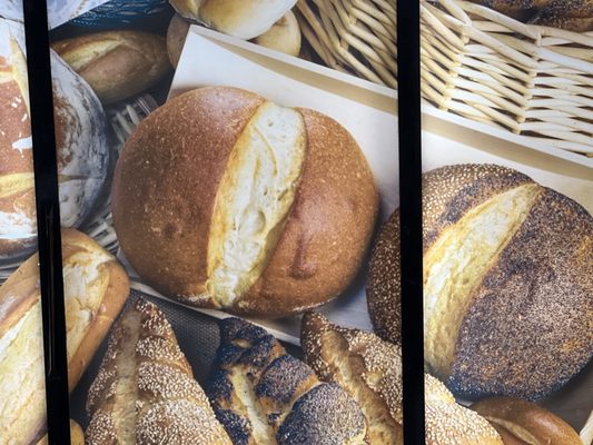 LISCIO’S BAKERY - Updated October 2025 - 50 Photos & 84 Reviews - 3321 ...