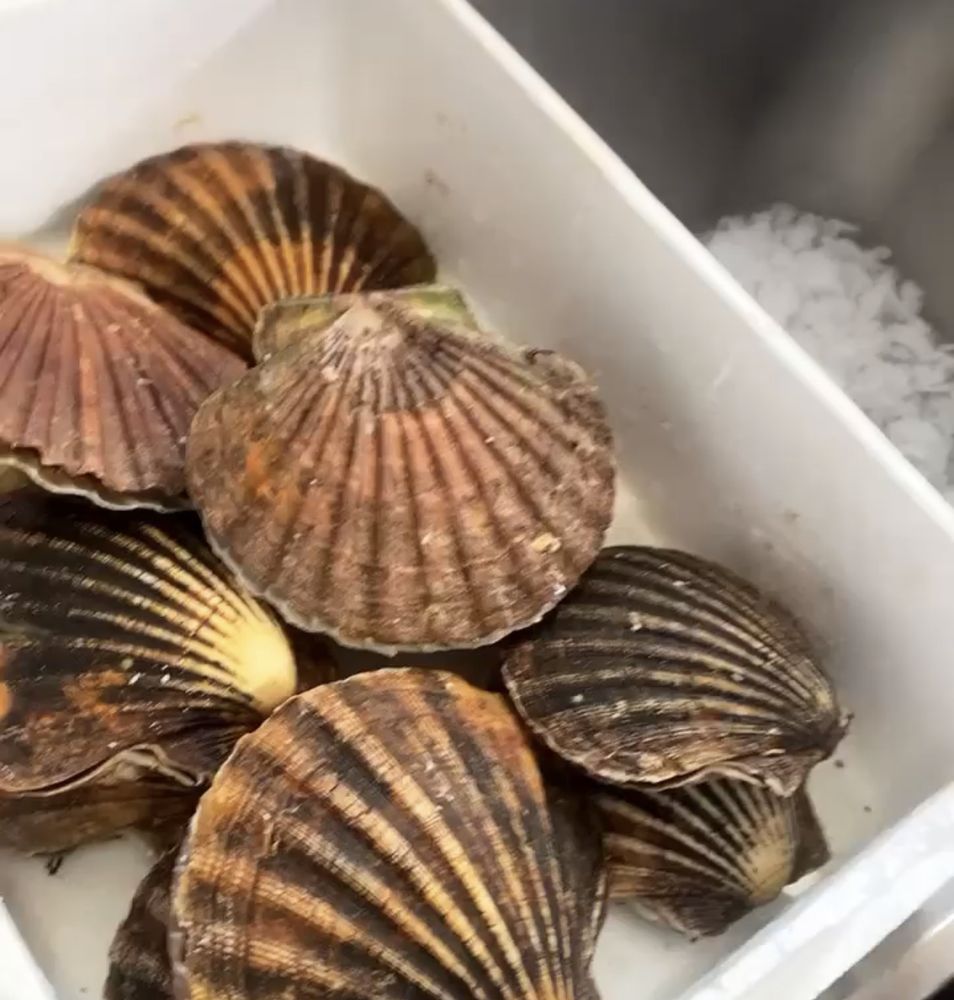 WESTERTON ARMS - Updated March 2025 - 36 Photos - 34 Henderson Street ...