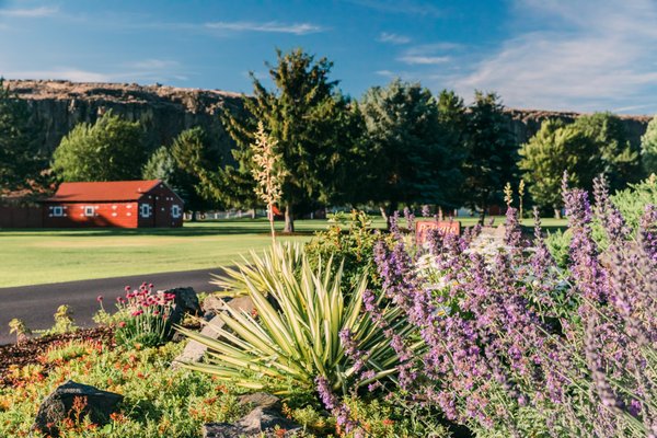 SUNDOWN M RANCH - Updated December 2025 - 16 Photos & 27 Reviews - 2280 ...