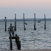 FRONT BEACH - 98 Photos & 13 Reviews - Front Beach Dr, Ocean Springs ...
