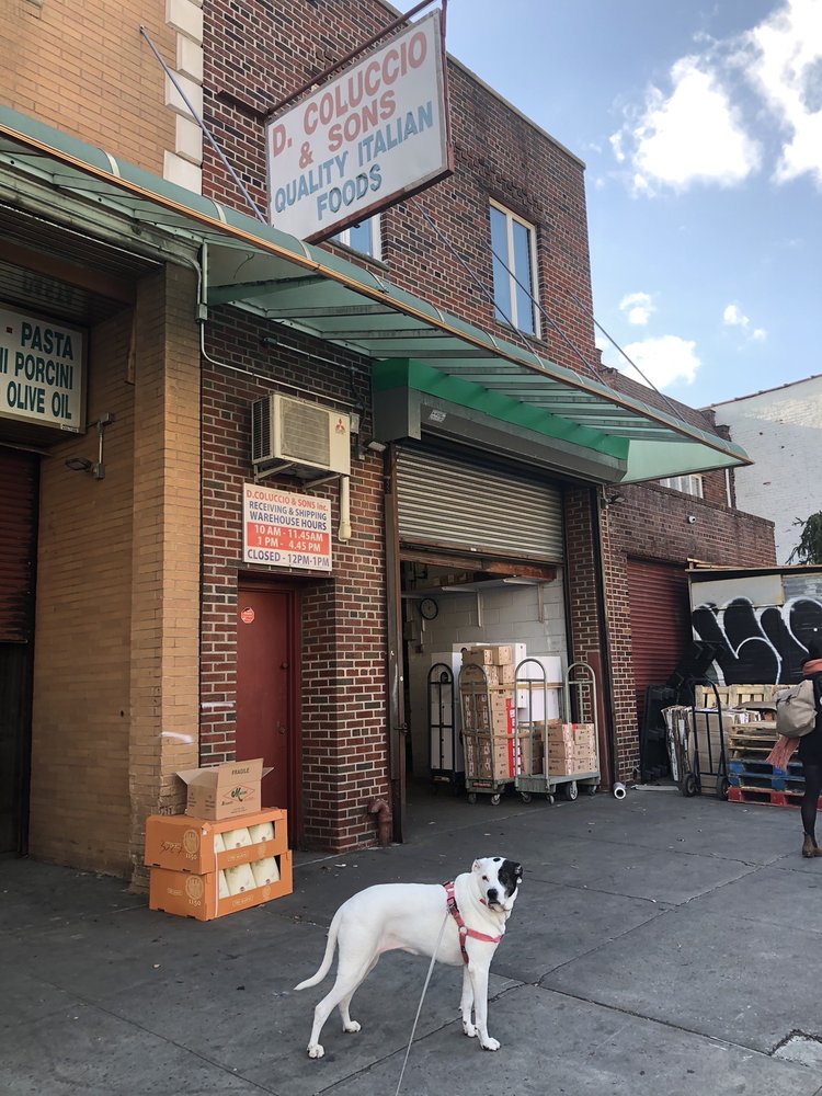 D. COLUCCIO & SONS - Updated April 2026 - 84 Photos & 67 Reviews - 1214 ...