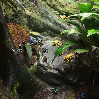 CLYDE PEELING’S REPTILAND - Updated July 2025 - 193 Photos & 51 Reviews ...