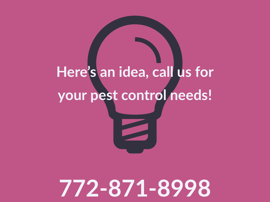 THE BUG DOCTOR PEST CONTROL - Updated December 2025 - 21 Photos - 502 ...