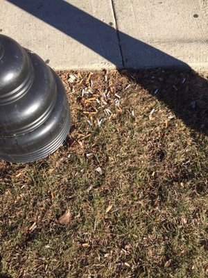 MACNEAL HOSPITAL - Updated January 2026 - 27 Photos & 125 Reviews ...