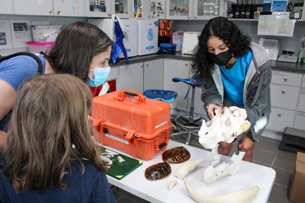 CARIBBEAN MANATEE CONSERVATION CENTER - Dr. John Will Harris St 500 ...