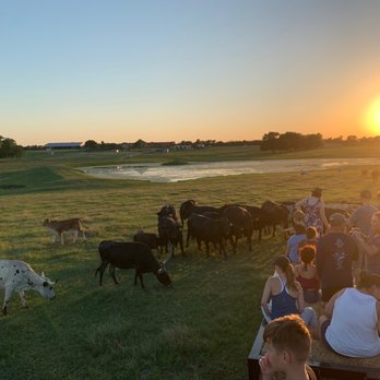 ROCKIN’ STAR RANCH - Updated August 2025 - 224 Photos & 20 Reviews ...