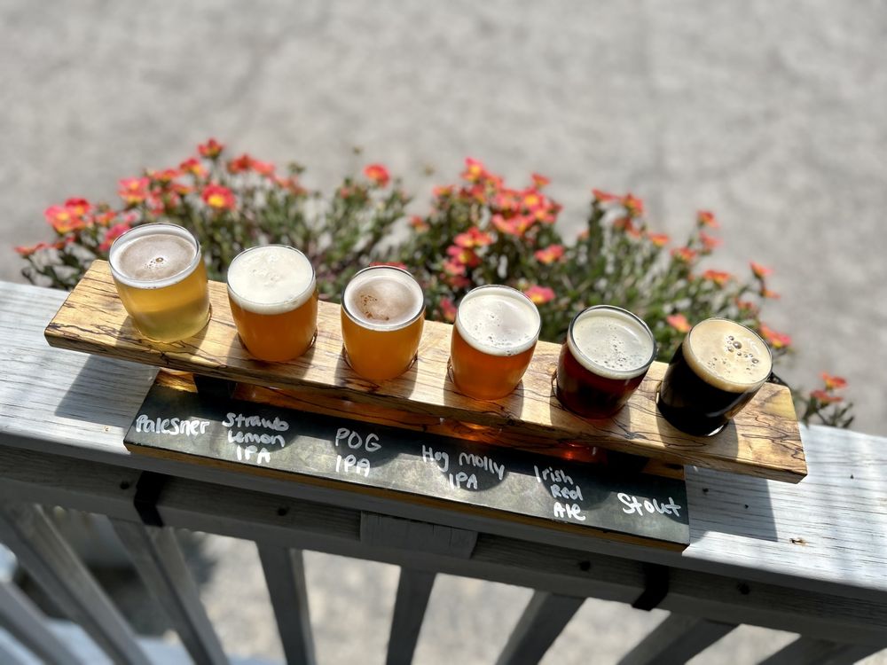 HOG MOLLY BREWING - Updated May 2024 - 66 Photos & 21 Reviews - 830 ...