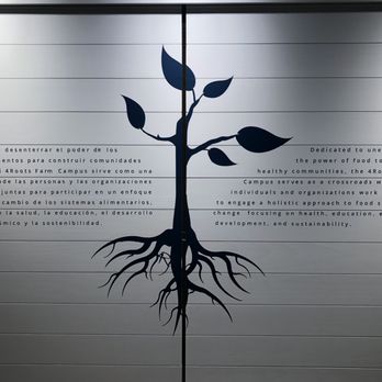 4ROOTS CAFÉ - Updated August 2024 - 24 Photos & 14 Reviews - 777 E ...