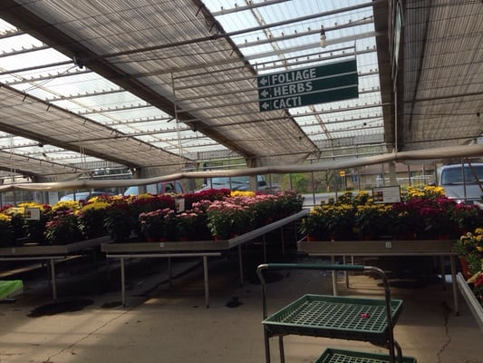 RUDOLPH GALLEY & SONS - Updated April 2025 - 2722 Clinton St, Buffalo ...