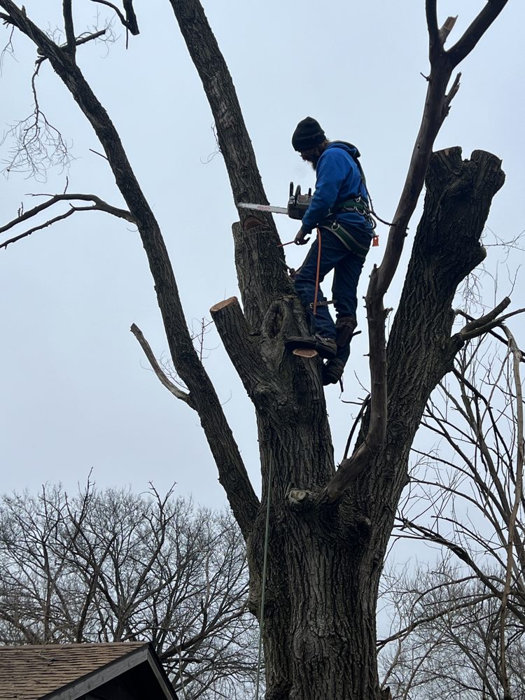 MR. NICE GUY TREE SERVICE - Updated December 2025 - 35 Photos - 60586 ...