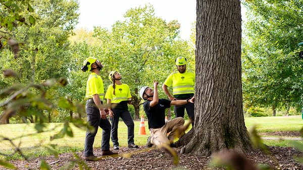 BARTLETT TREE EXPERTS - TORONTO - Updated September 2025 - 45 Photos ...