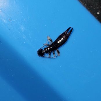 CONREX PROPERTY MANAGEMENT - Updated December 2025 - 161 Photos & 54 ...