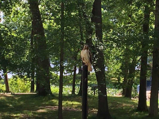 WINGFOOT LAKE STATE PARK - Updated June 2024 - 31 Photos & 12 Reviews ...