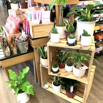 GOOD EARTH MARKETS - Updated January 2026 - 44 Photos & 25 Reviews ...