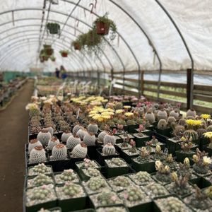 BAMBOO NURSERY & GARDEN SUPPLIES - 11 Photos - 15600 S Atlantic Ave ...