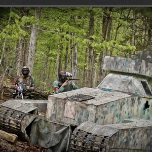 CHUCKSTERS - CHICHESTER - Updated September 2025 - 42 Photos & 38 ...