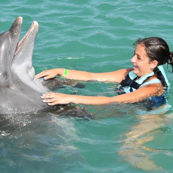 DOLPHIN CONNECTION - Updated December 2025 - 31 Photos & 38 Reviews ...