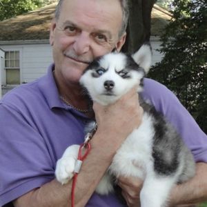 ANIMAL RESCUE RHODE ISLAND - Updated January 2025 - 11 Reviews - 506B ...