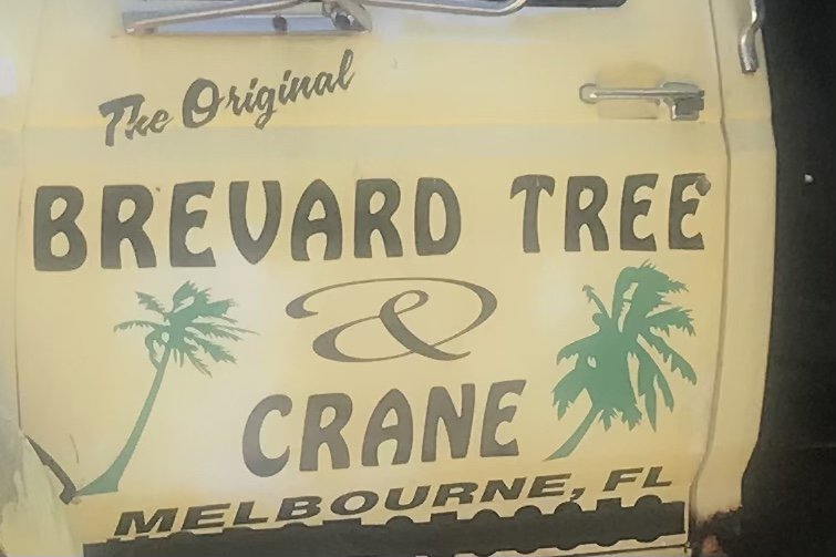 BREVARD TREE & CRANE - Updated March 2025 - Request a Quote - 1825 Palm ...