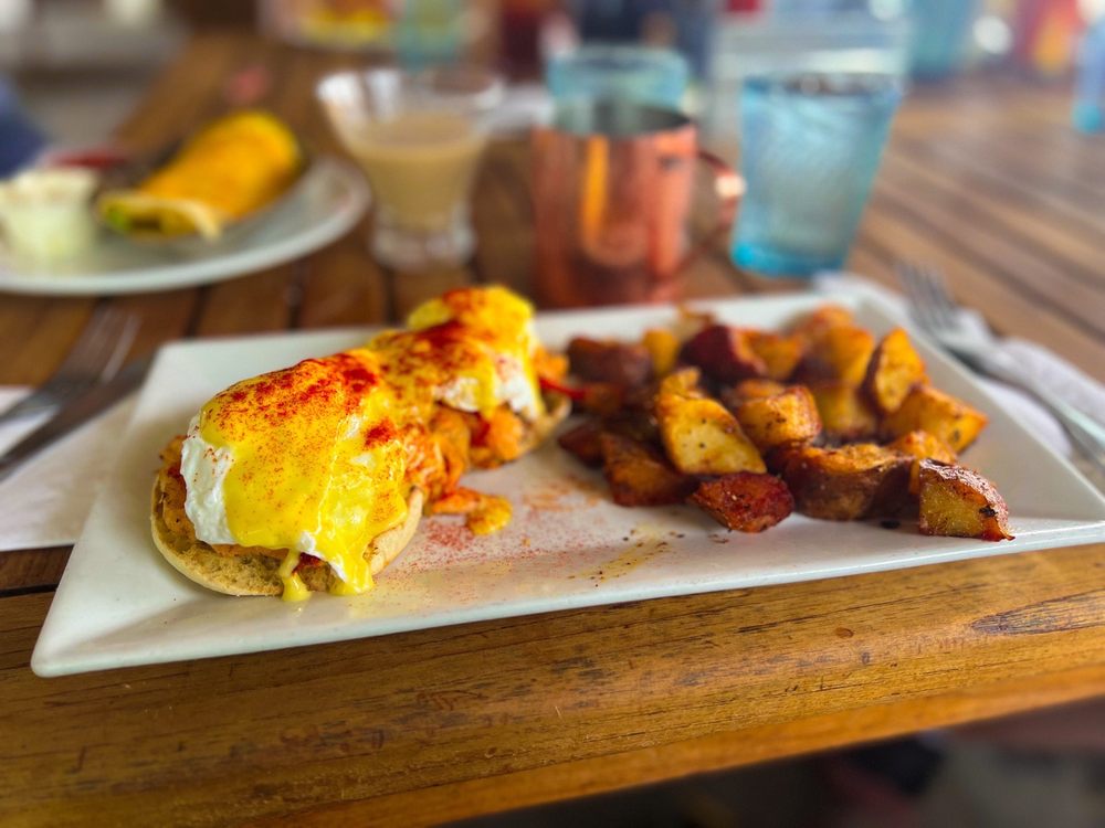 THE BLACK DOG TAVERN - Updated December 2025 - 501 Photos & 566 Reviews ...