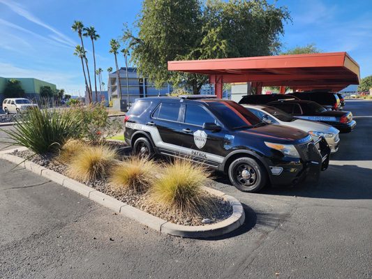 DELTA SECURITY SERVICES - Updated December 2025 - 34 Photos - 8055 N ...