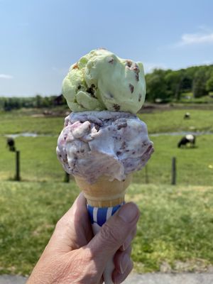 ROTA SPRING FARM - Updated May 2026 - 127 Photos & 263 Reviews - 117 ...