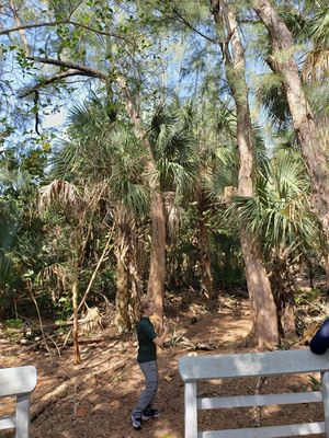 DEERFIELD ISLAND PARK - Updated December 2025 - 100 Photos - 1720 ...
