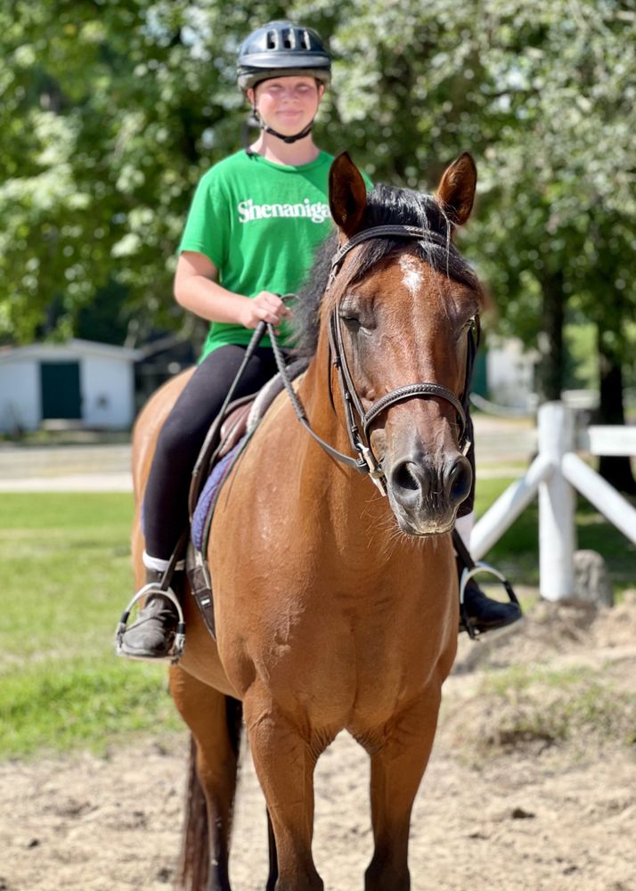 WONDERLAND FARM - Updated December 2025 - 23 Photos - 7453 Radio Rd NE ...