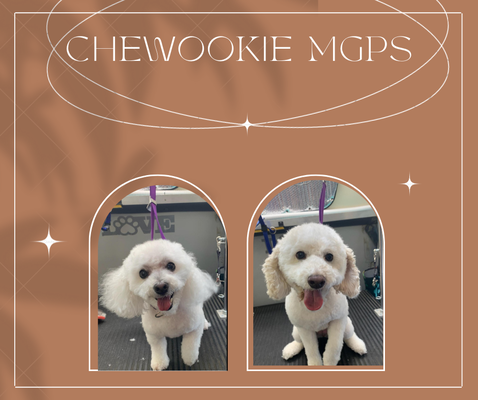 CHEWOOKIE MOBILE GROOMING PET SALON - Updated May 2026 - Stafford ...