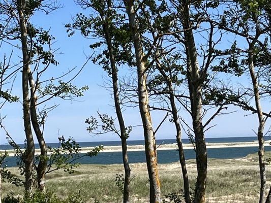 CHATHAM LIGHTHOUSE BEACH - Updated August 2025 - 132 Photos & 34 ...