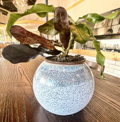 BUBBLY HEN - Updated March 2025 - 94 Photos & 59 Reviews - 7915 Vaughn ...