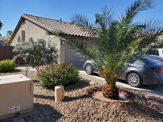 TREE PROS - Updated March 2025 - 48 Photos & 217 Reviews - 2836 W ...