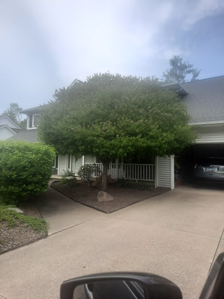 CJSPRUNING & LANDSCAPE DESIGN - Updated April 2024 - Request a Quote ...