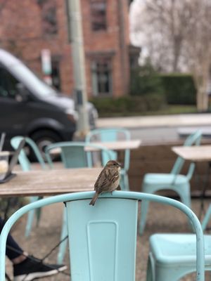 THE COFFEE BAR - 264 Photos & 315 Reviews - 1201 S St NW, Washington ...