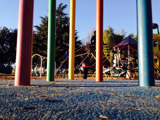 ALLAN WITT PARK - Updated July 2025 - 126 Photos & 57 Reviews - 1741 W ...