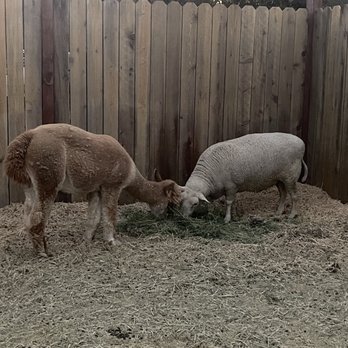 LONGSHADOW RANCH VINEYARD AND WINERY - Updated December 2025 - 690 ...